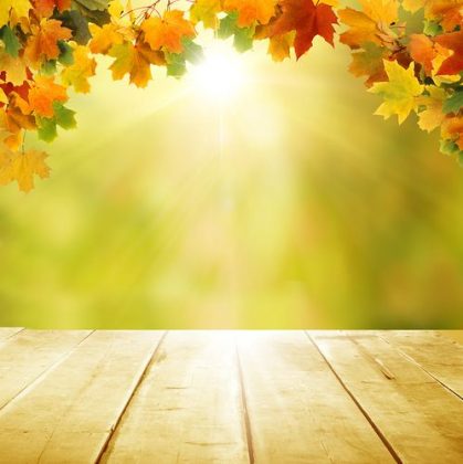 Background Undangan Pernikahan yang Elegan - Uprint.id