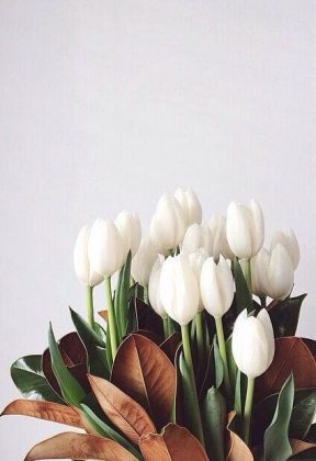 20+ Bunga dan Berbagai Maknanya - uprint.id