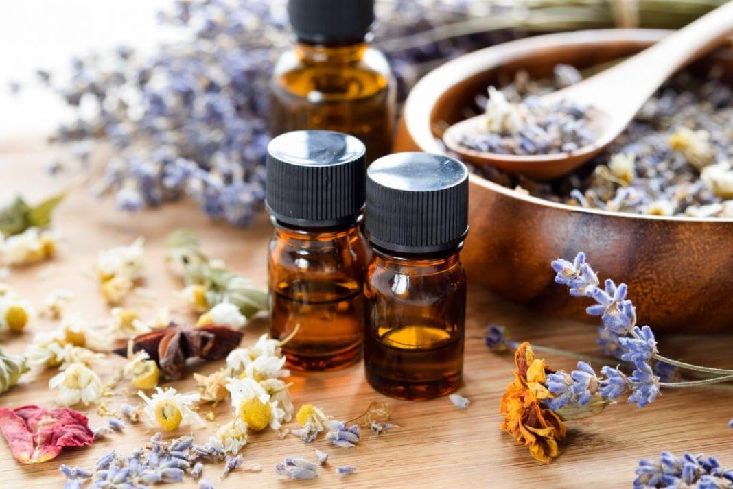 Melihat Peluang Bisnis Essential Oil yang Menarik dan Menguntungkan ...