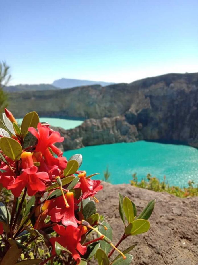 Tempat Wisata di Nusa Tenggara Timur yang Perlu Dikunjungi - Uprint.id